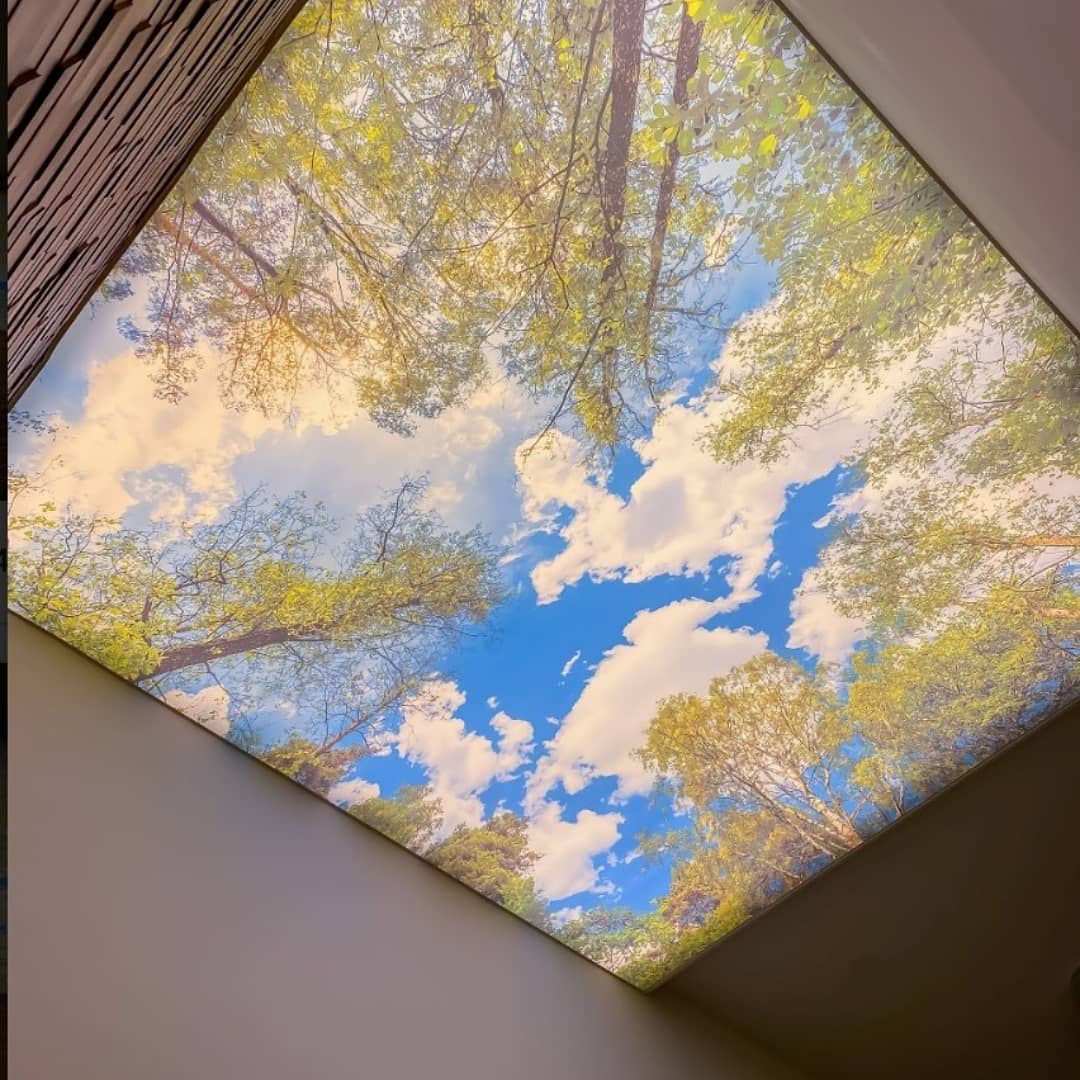 Light Up Your Stretch Ceiling with Backlit Ceiling Lights - AV Style